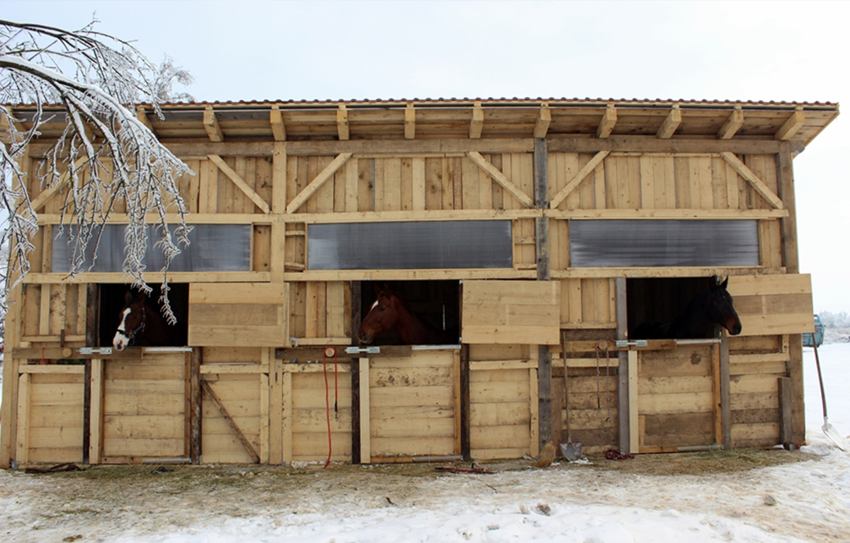 oskrba-konj-2 | Posestvo Jurečič in Konjeništvo Peterlin